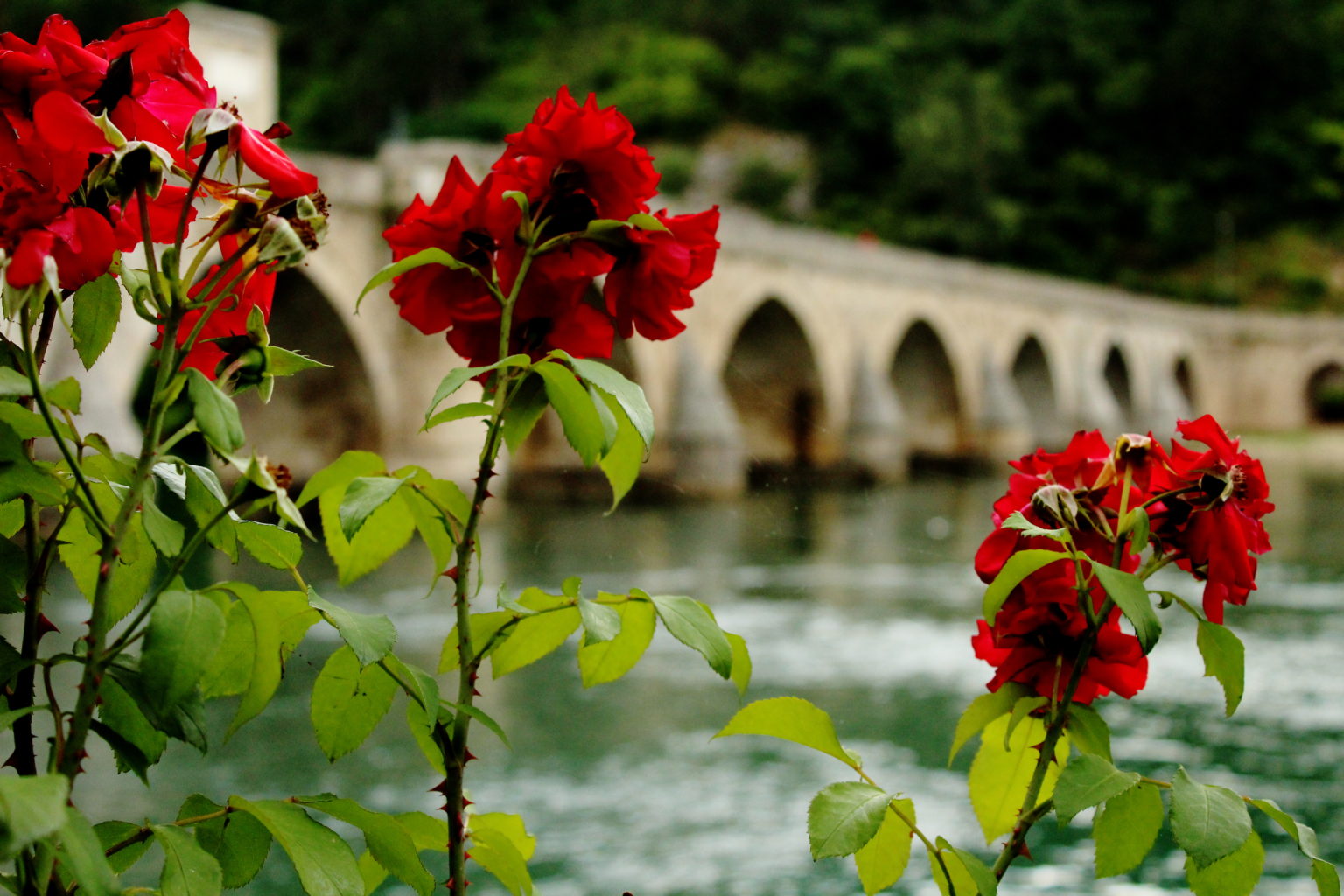 Destinations - Grumpy Camel